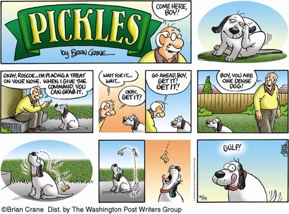 Pickles Comic Strips - Funny Comics